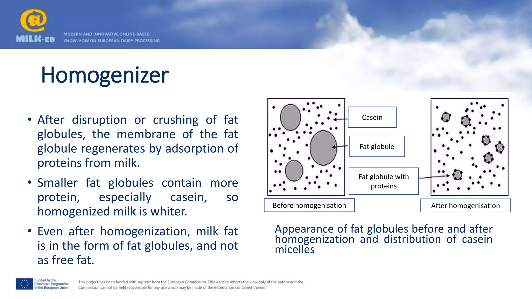 Homogenization_EN.pptx