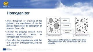 Homogenization_EN.pptx