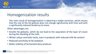 Homogenization_EN.pptx