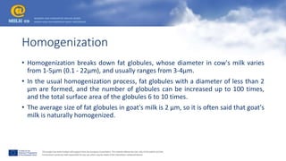 Homogenization_EN.pptx