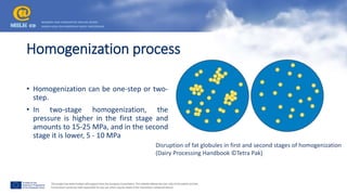 Homogenization_EN.pptx