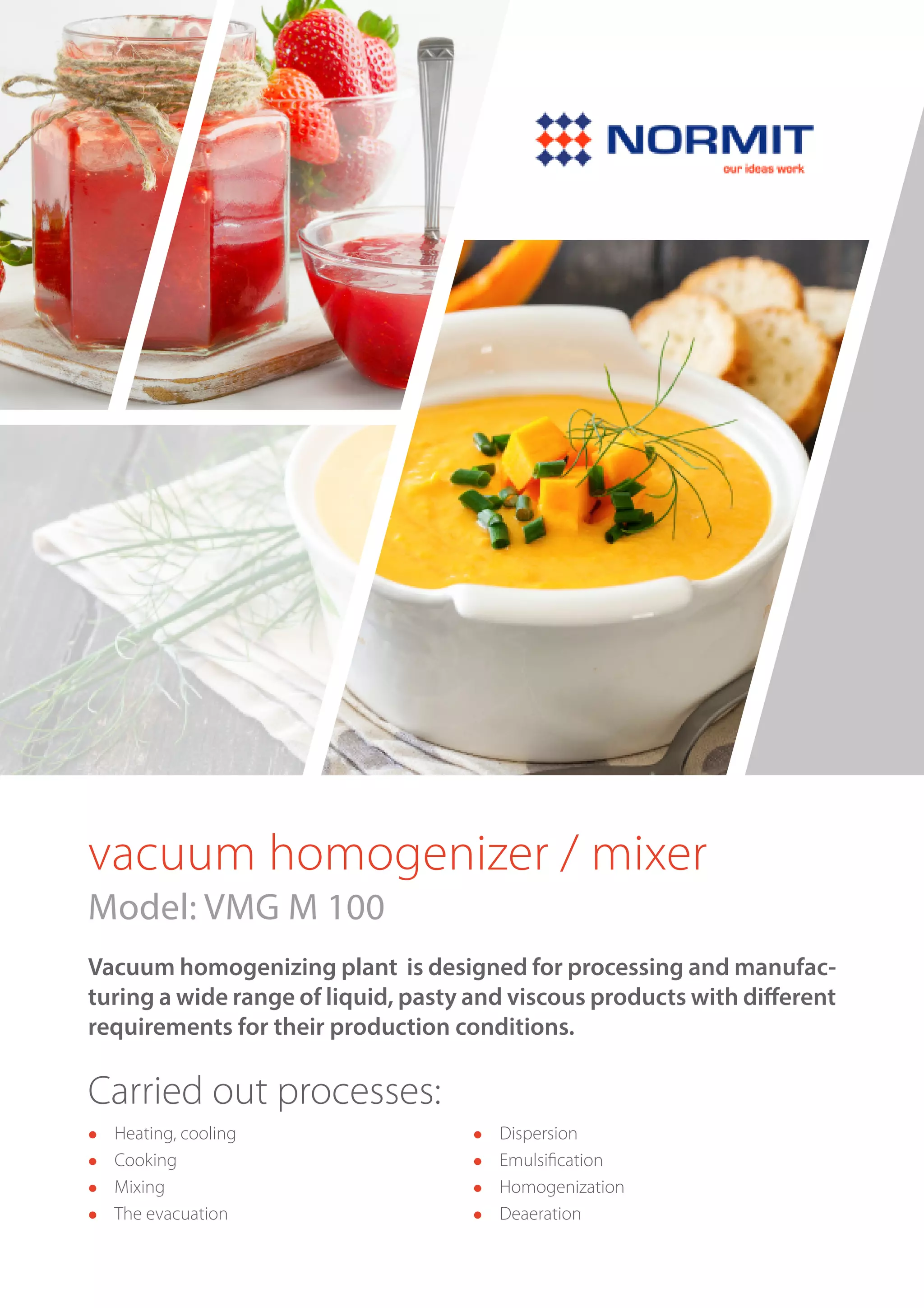 Homogenizers Catalog | PDF