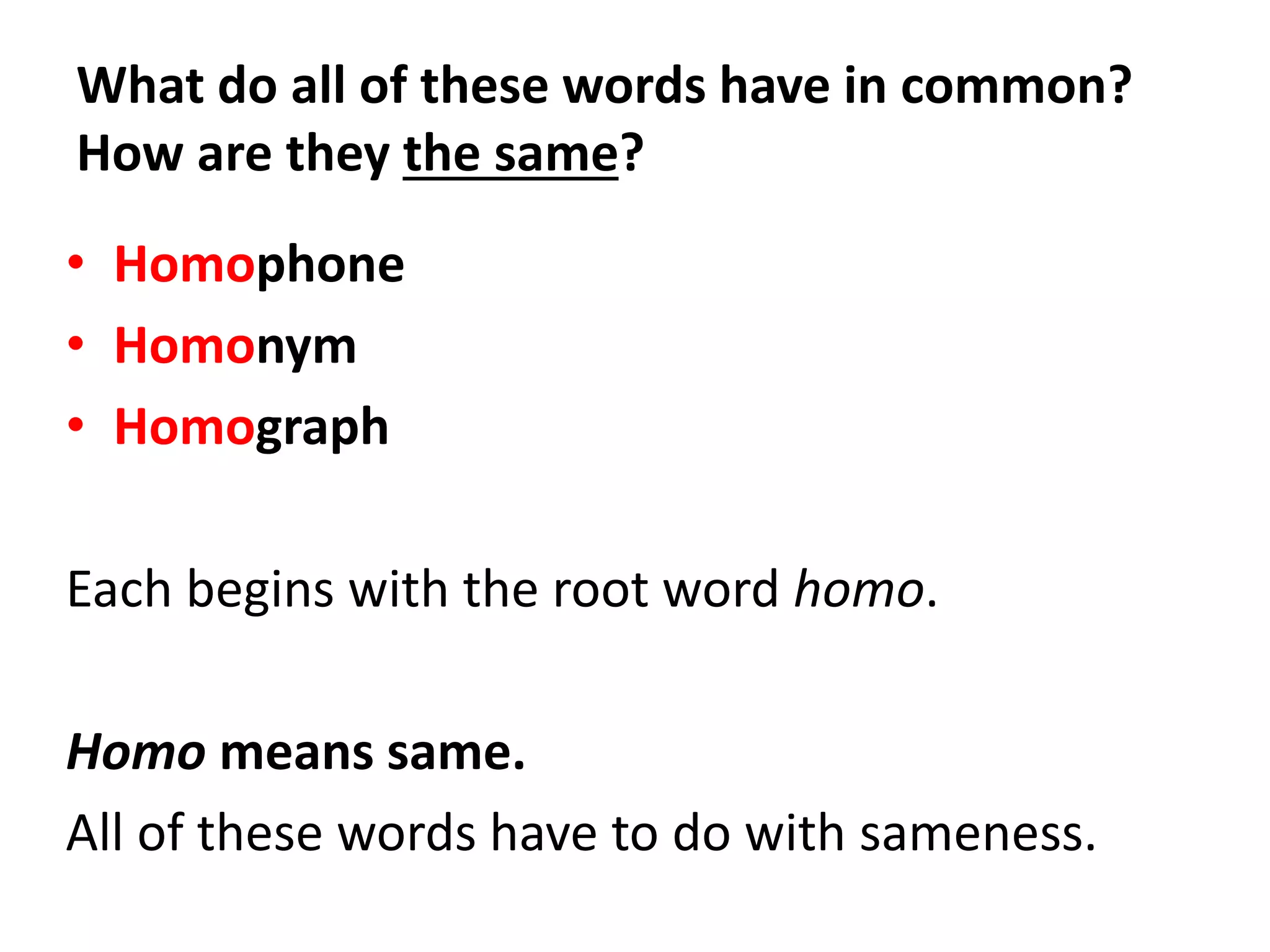 Homographs.pptx