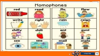 Homographs and homophones | PPTX