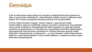 Homo habilis.pptx
