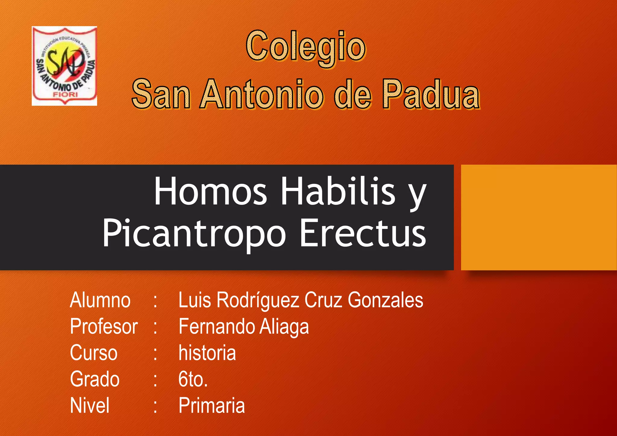 HOMO HABILIS Y ERECTUS.pptx