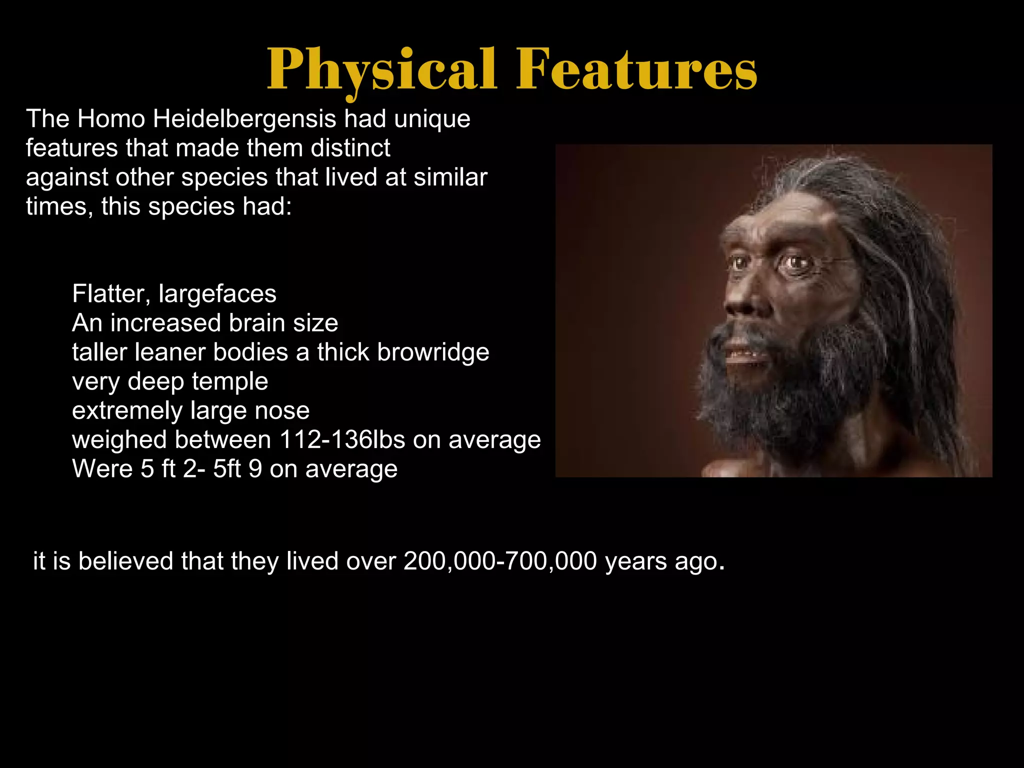 Homo heidelberg (1) (1) | PPT