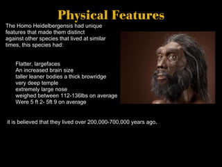 Homo heidelberg (1) (1) | PPT | Geology | Science