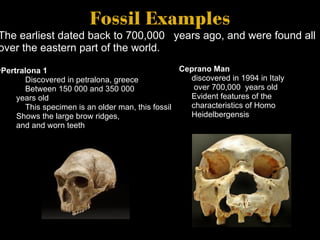 Homo heidelberg (1) (1) | PPT | Geology | Science