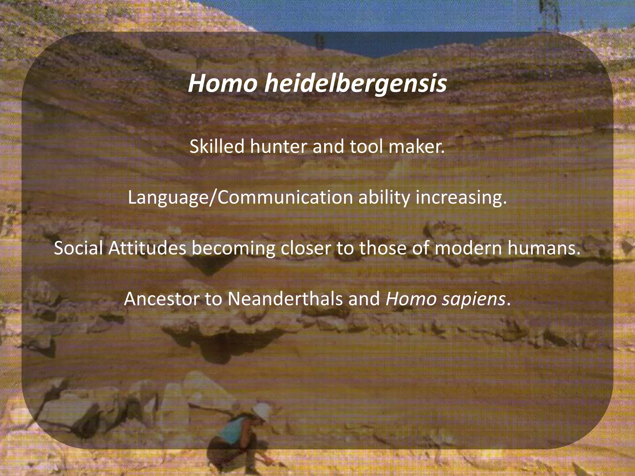 Homo heidelbergensis | PPSX