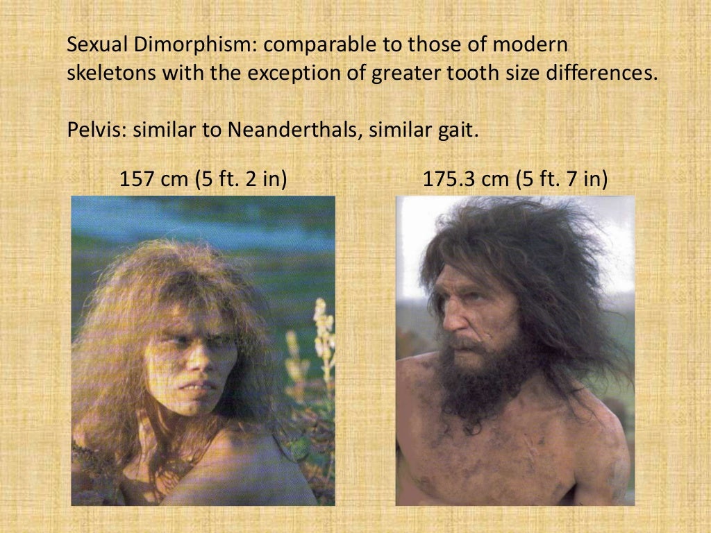 Homo heidelbergensis
