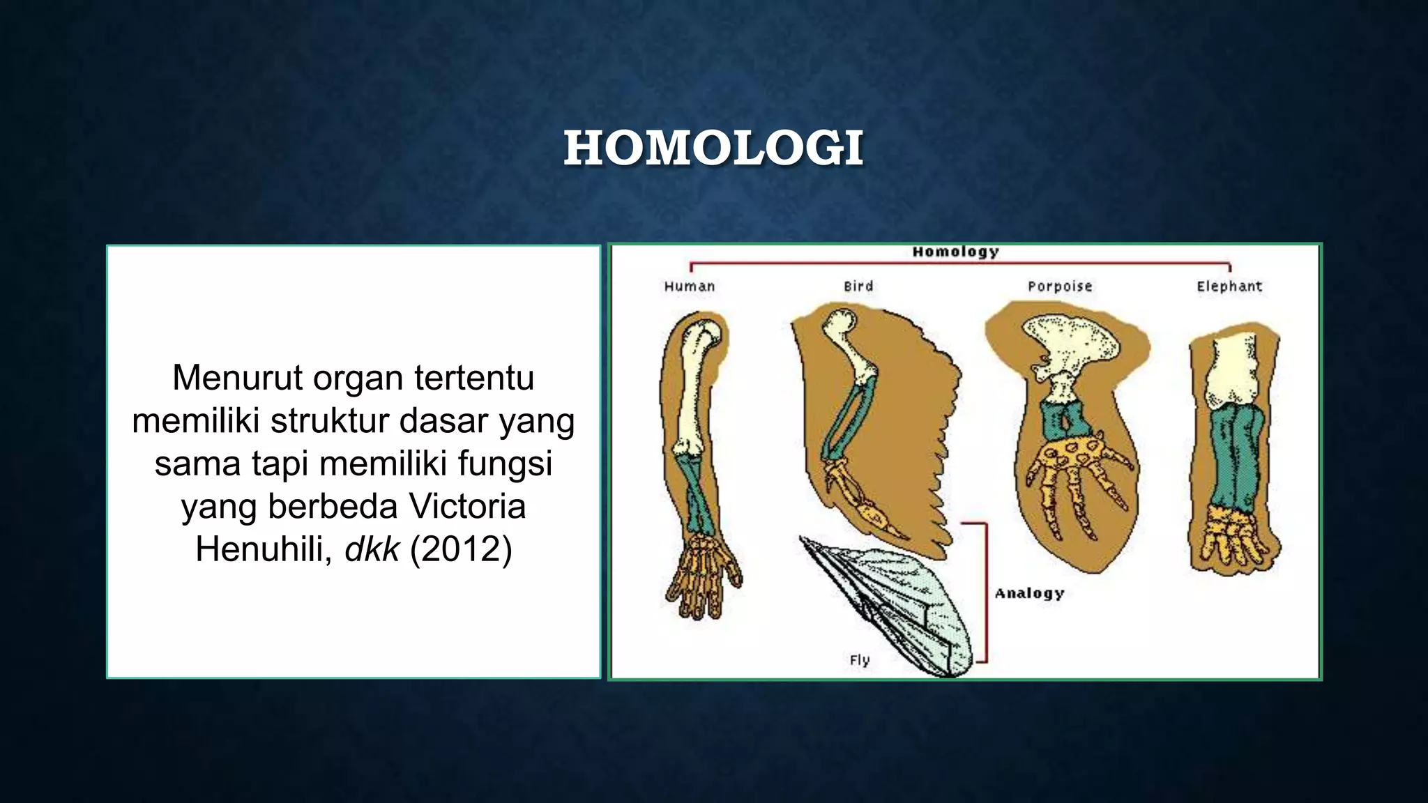 Homologi dan analogi perbandingan embriologi presentasi | PPTX