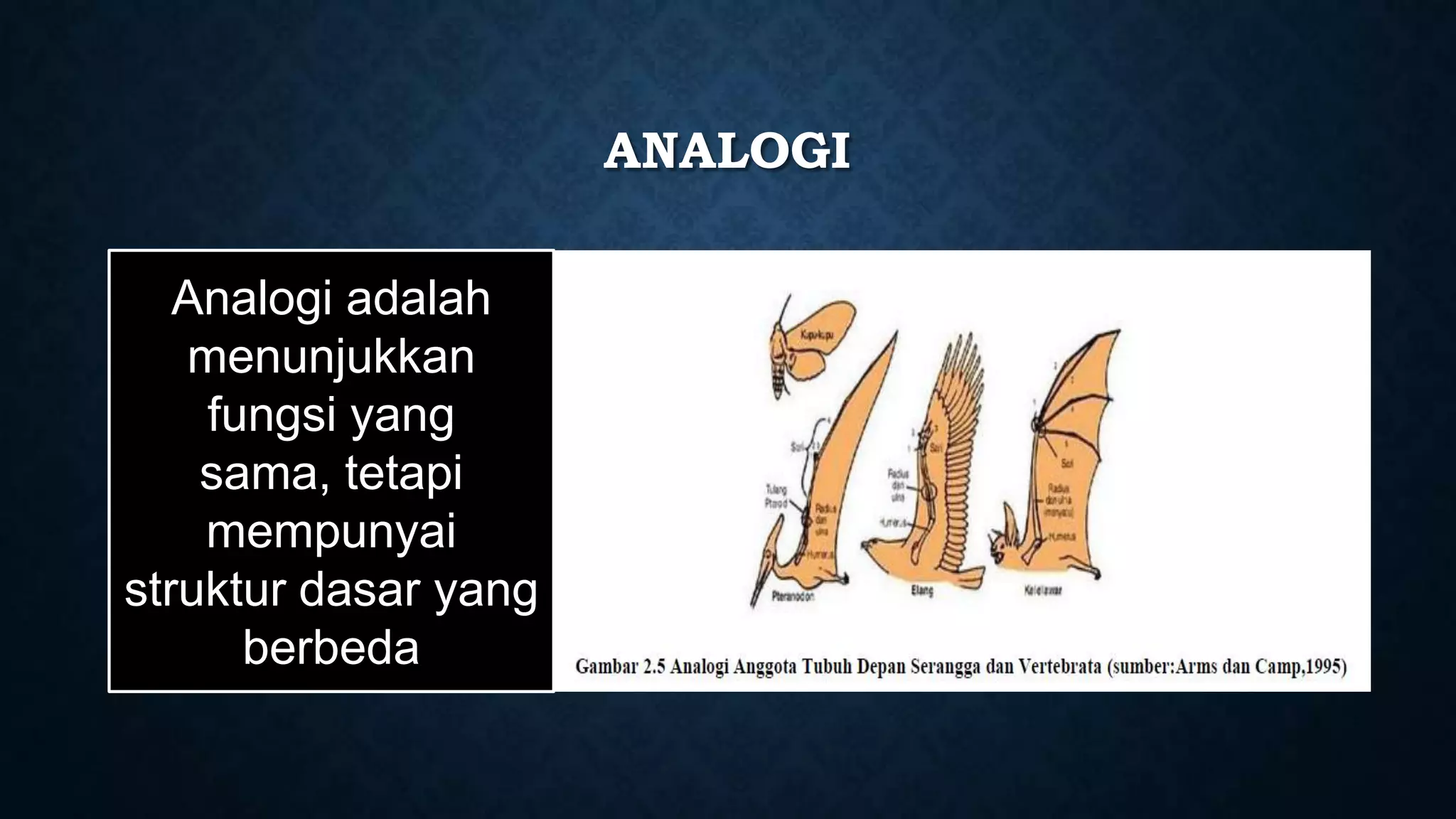 Homologi dan analogi perbandingan embriologi presentasi | PPTX