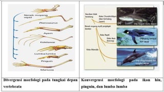 Homologi dan analogi perbandingan embriologi presentasi | PPTX