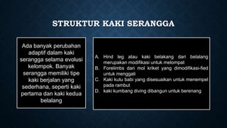 Homologi dan analogi perbandingan embriologi presentasi | PPTX