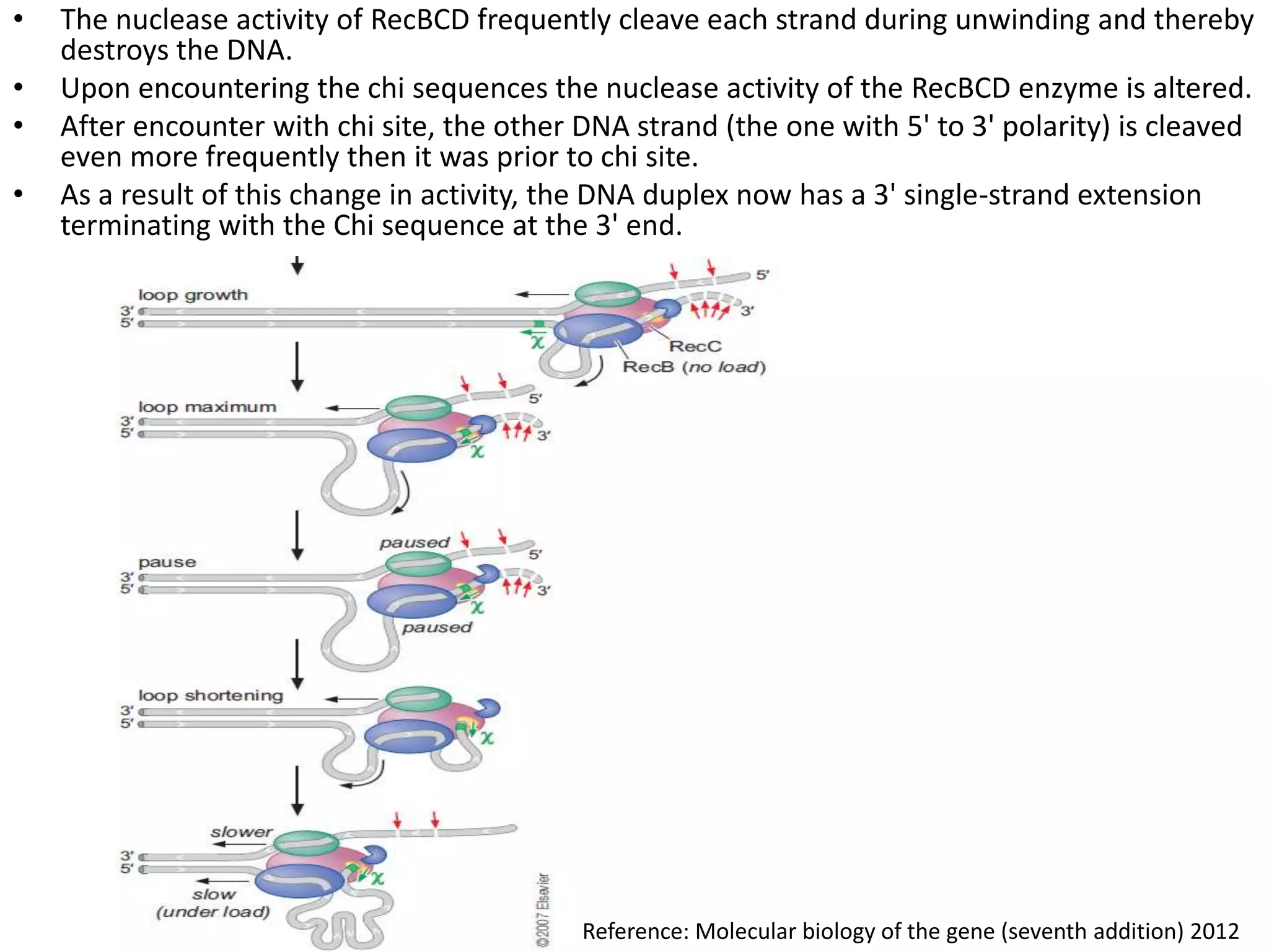 Homologous recombination | PPTX