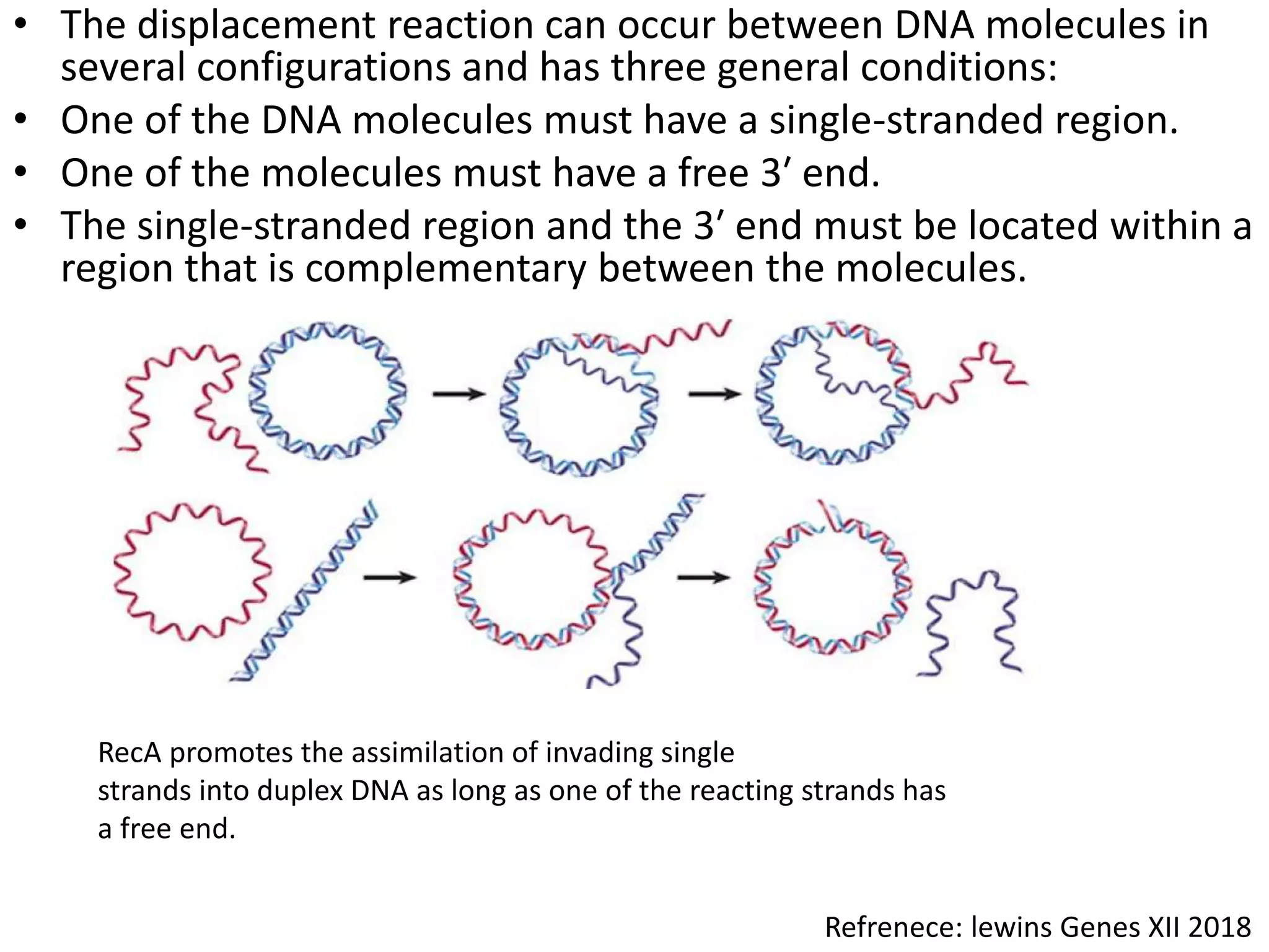 Homologous recombination | PPTX