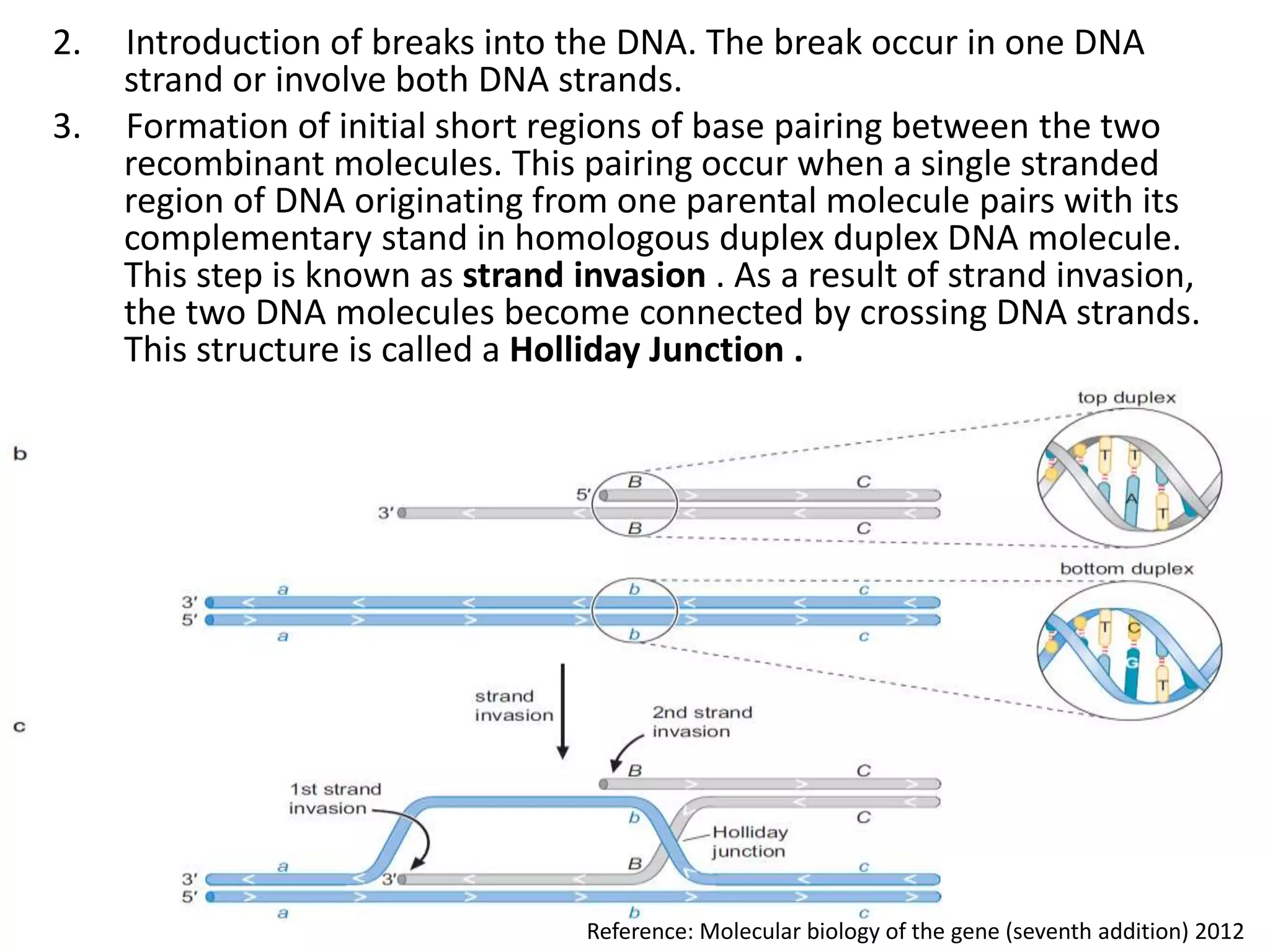 Homologous recombination | PPTX