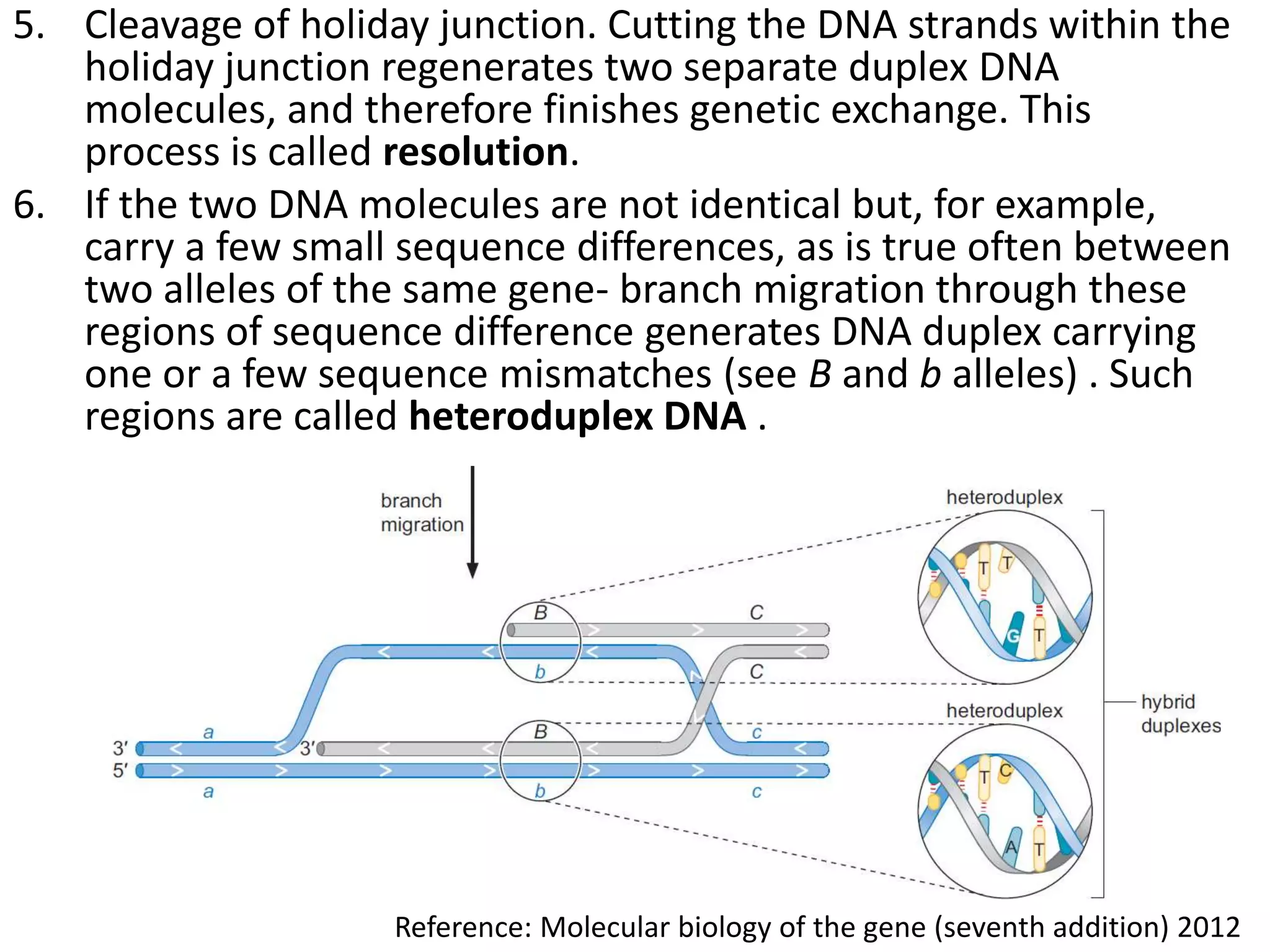 Homologous recombination | PPTX