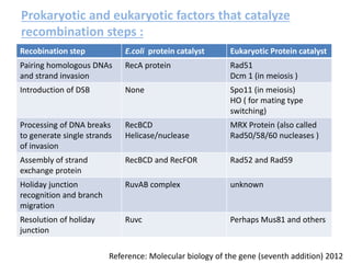 Homologous recombination | PPTX