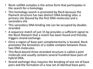 Homologous recombination | PPTX