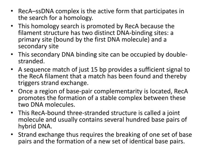 Homologous recombination | PPTX | Chemistry | Science
