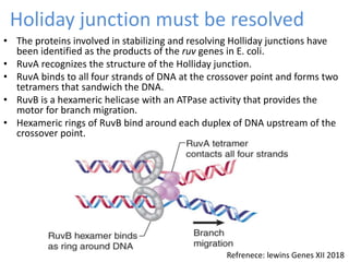 Homologous recombination | PPTX