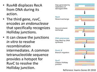 Homologous recombination | PPTX