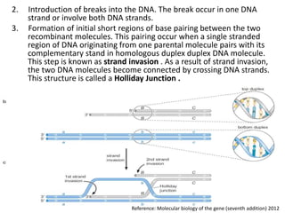 Homologous recombination | PPTX