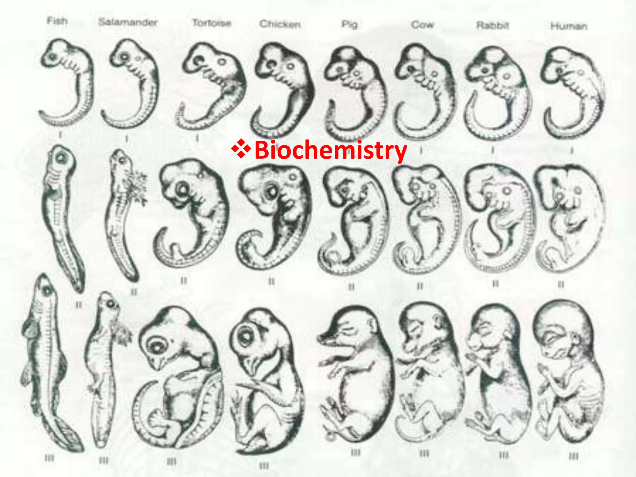 Ecology-Homologous structure | PPT