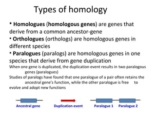 Homology | PPT