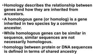 HOMOLOGY ANALOGY BIOINFORMATICS .PPTX
