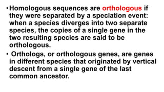 HOMOLOGY ANALOGY BIOINFORMATICS .PPTX
