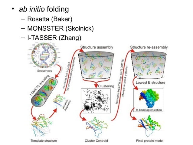 homology-modeling........................... | PPT