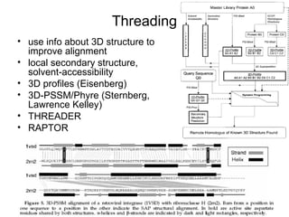 homology-modeling........................... | PPT