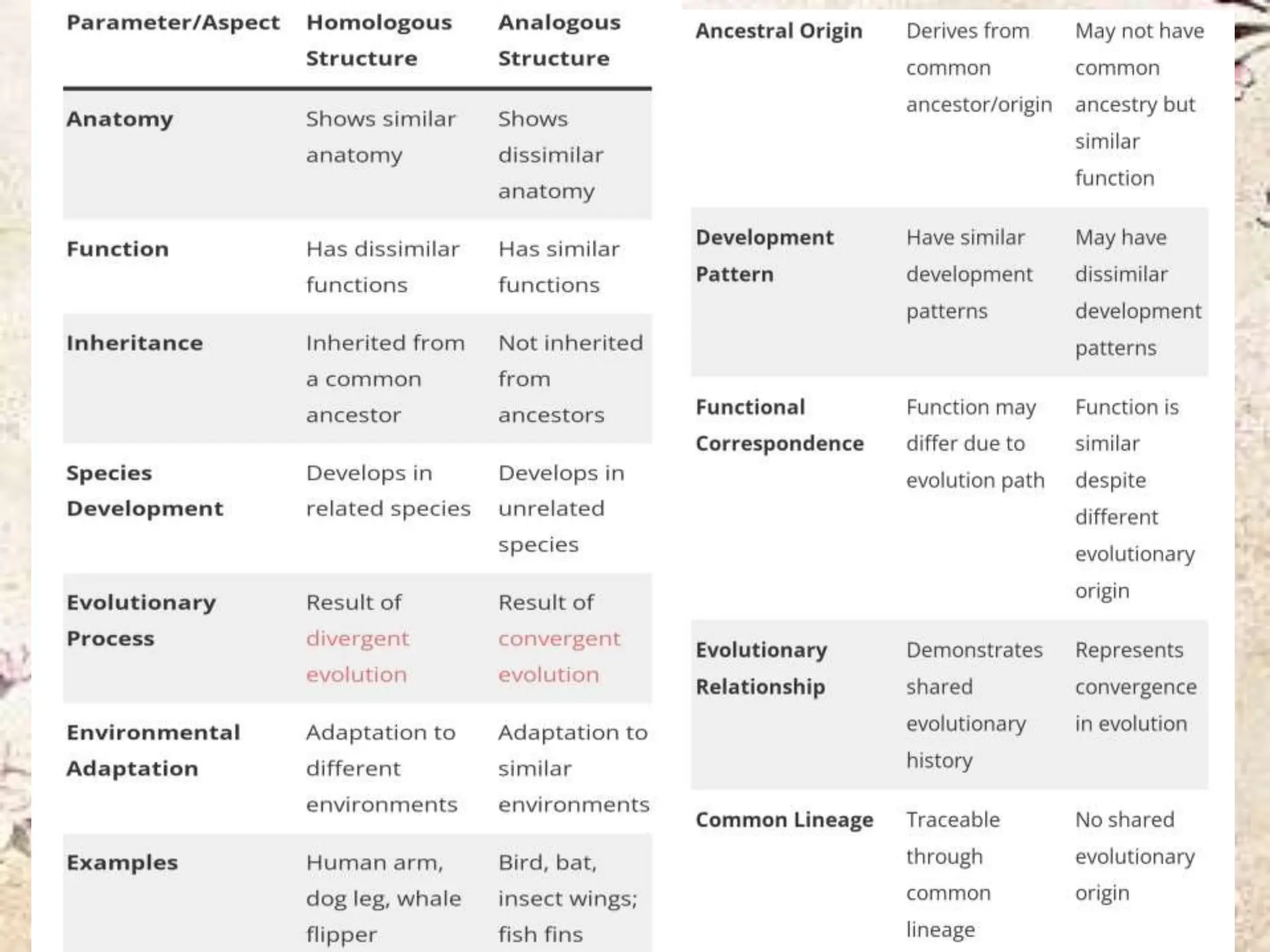 Homologous organs and analogous organs.. | PPTX