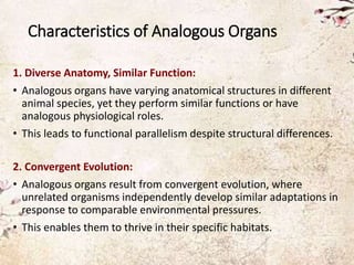 Homologous organs and analogous organs.. | PPTX