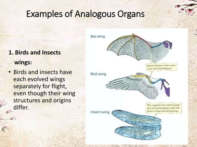 Homologous organs and analogous organs.. | PPTX | Genetics | Science