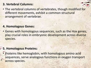 Homologous organs and analogous organs.. | PPTX