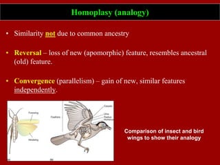 Homology guru | PPT