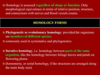 Homology guru | PPT | Genealogy and Ancestry | Hobbies & Interests