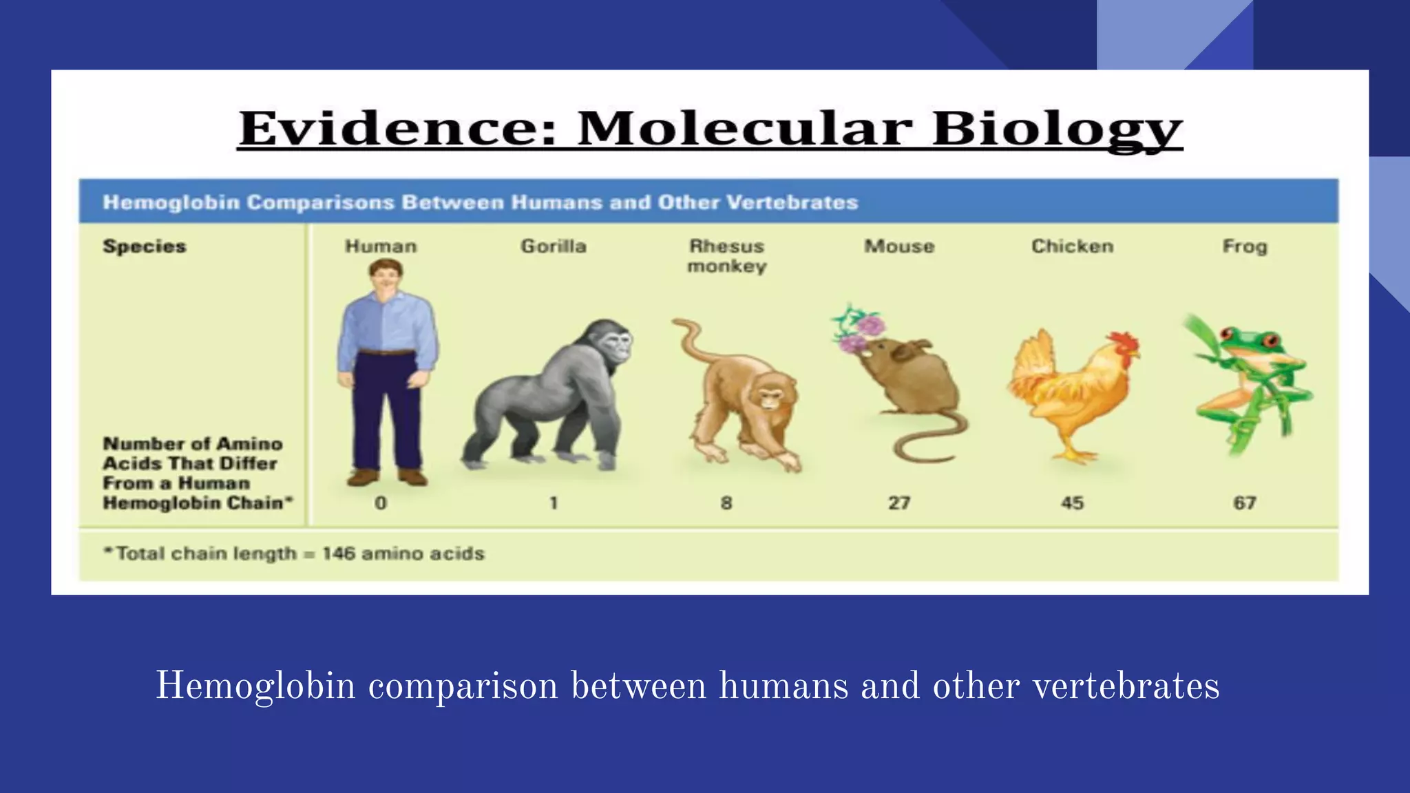 Phylogenetic relationships- Homology; Homologous sequences of proteins ...