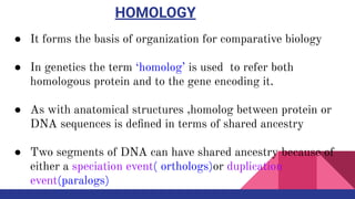 Phylogenetic relationships- Homology; Homologous sequences of proteins ...