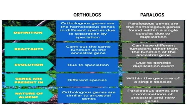 Phylogenetic relationships- Homology; Homologous sequences of proteins ...