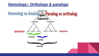 Phylogenetic relationships- Homology; Homologous sequences of proteins ...