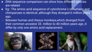 Phylogenetic relationships- Homology; Homologous sequences of proteins ...