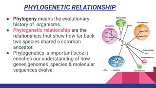 Phylogenetic relationships- Homology; Homologous sequences of proteins ...