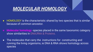 Phylogenetic relationships- Homology; Homologous sequences of proteins ...