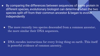 Phylogenetic relationships- Homology; Homologous sequences of proteins ...
