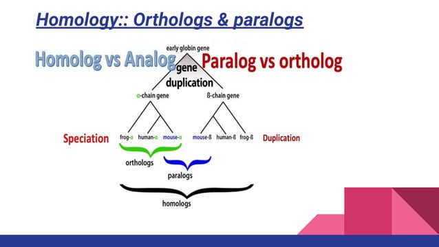 Phylogenetic relationships- Homology; Homologous sequences of proteins ...